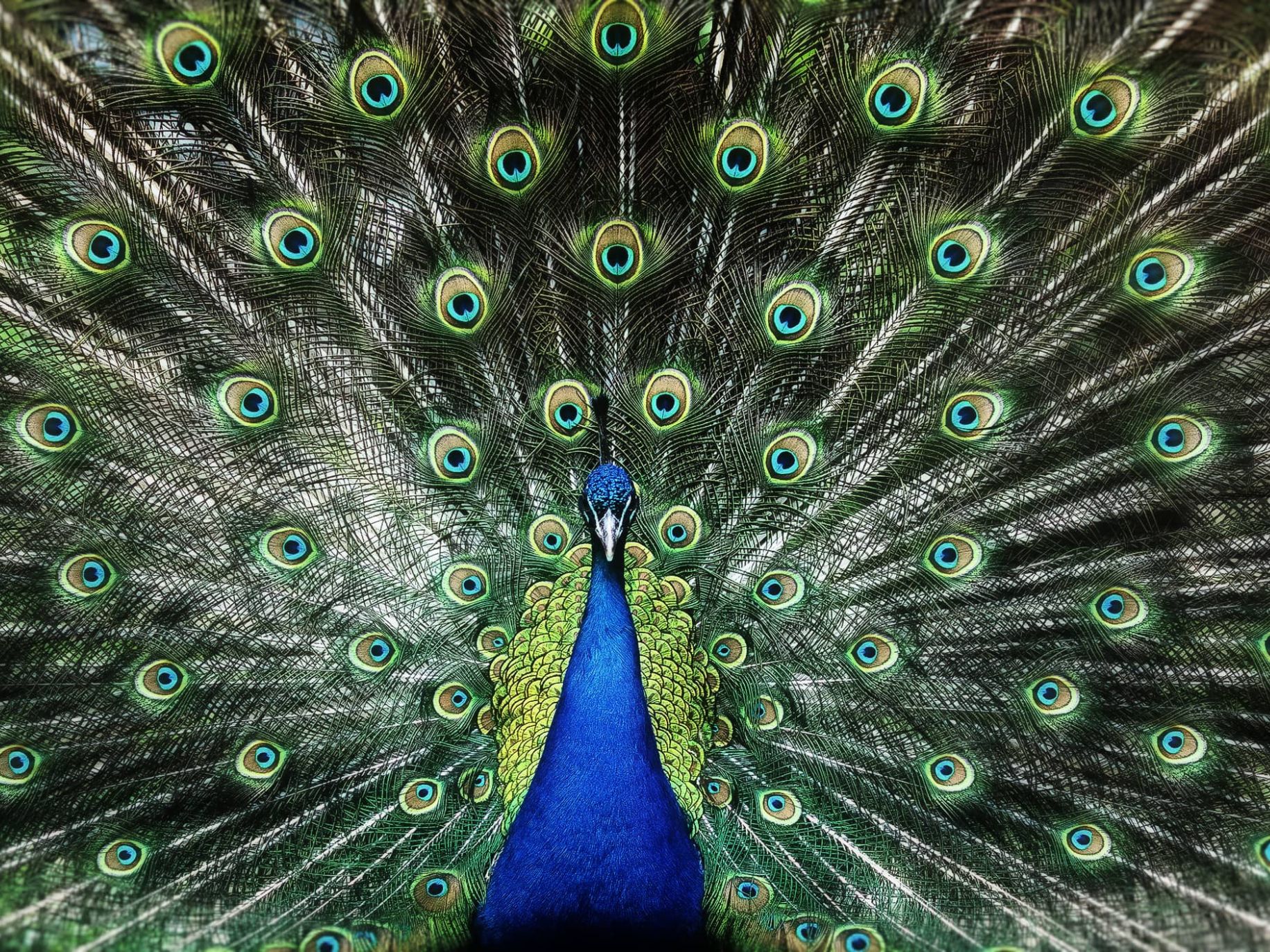 How to Feel More Confident in Yourself | GrowingSelf.com